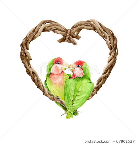 Lovebird parrots on a heart shape illustration. - Stock Illustration ...