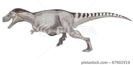 Tyrannosaurus Rex with hair - Stock Illustration [67902919] - PIXTA