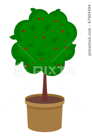 Isolated green tree growing in pot with soil,... - Stock Illustration ...