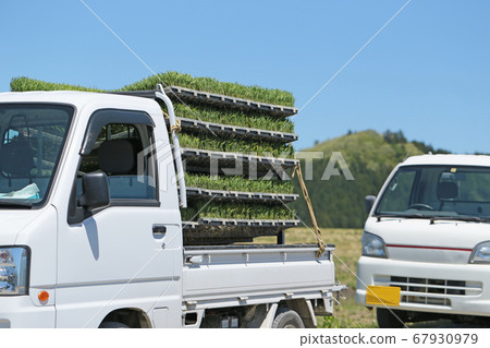 Light truck to transport rice seedlings - Stock Photo [67930979] - PIXTA