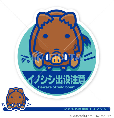 Wild boar warning: Wild boar infestation... - Stock Illustration ...