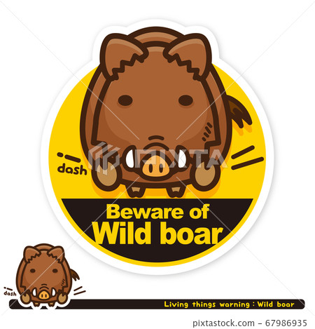 Wild boar warning: Wild boar infestation... - Stock Illustration ...