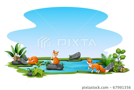 Three foxes playing in the small pond - Stock Illustration [67991356 ...