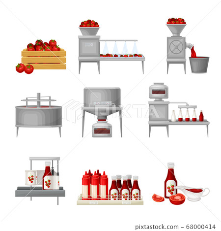 Ketchup Manufacturing Process with Tomato... - Stock Illustration ...