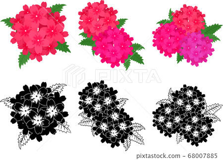 Cute verbena icon - Stock Illustration [68007885] - PIXTA