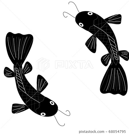 pair of carp fish vector illustration with copy... - Stock Illustration ...