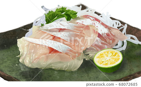 Realistic illustration of fresh white sashimi - Stock Illustration ...