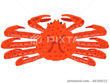 Snow crab - Stock Illustration [68109525] - PIXTA