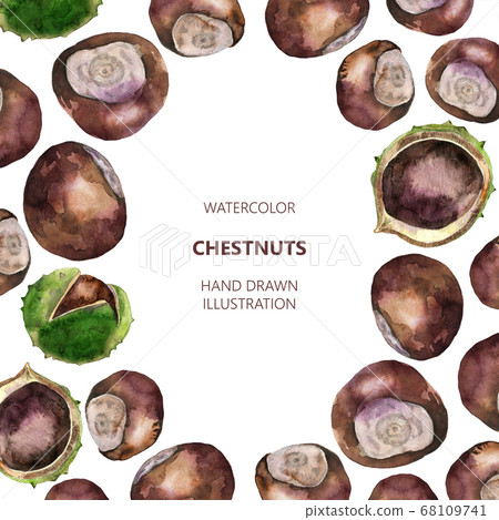 Watercolor chestnuts frame - Stock Illustration [68109741] - PIXTA