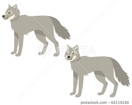 Wolf full body illustration set (stand) - Stock Illustration [68119288 ...