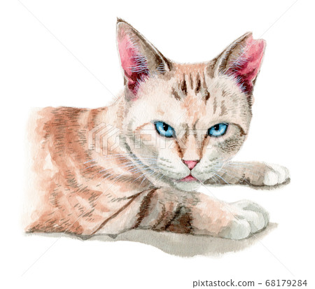 Analog watercolor blue eye sham mix cat... - Stock Illustration ...