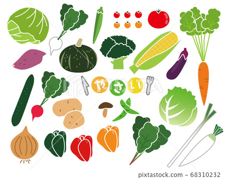 Simple vegetable materials (from leaves to root... - Stock Illustration ...