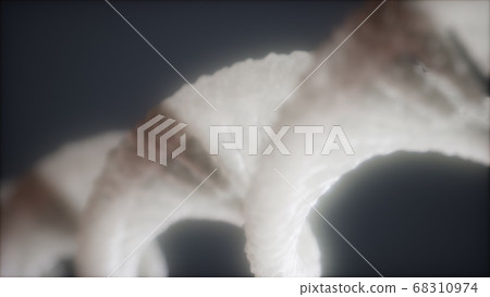 loop double helical structure of dna strand - Stock Illustration ...