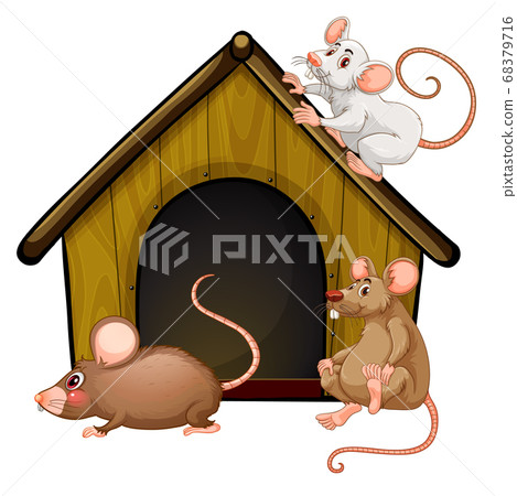 Group of cute mouses with little house isolated on - Stock Illustration ...