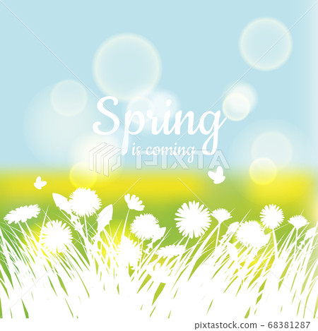 Hello Spring with green grass and chamomile on... - Stock Illustration ...
