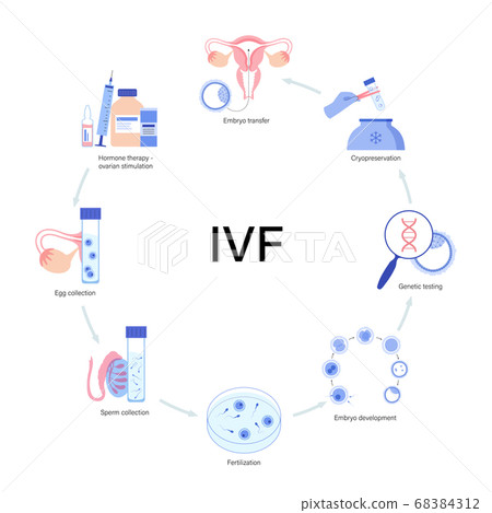 IVF vector illustration - Stock Illustration [68384312] - PIXTA