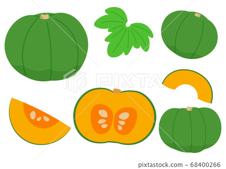 호박의 일러스트 세트 - 스톡일러스트 [68400266] - PIXTA