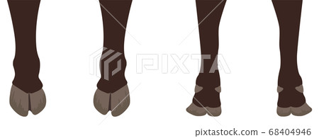 Cow feet - Stock Illustration [68404946] - PIXTA