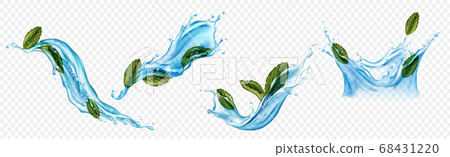 Water splashes with menthol or mint leaves set - Stock Illustration ...