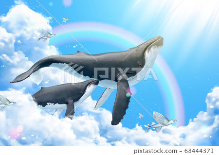 Whales swimming in blue sky-插圖素材 [68444371] - PIXTA圖庫