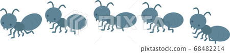 Ant matrix_5 - Stock Illustration [68482214] - PIXTA