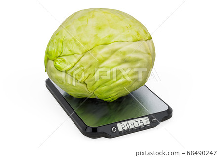 Kitchen Scales with Cabbage. 3D rendering - Stock Illustration ...
