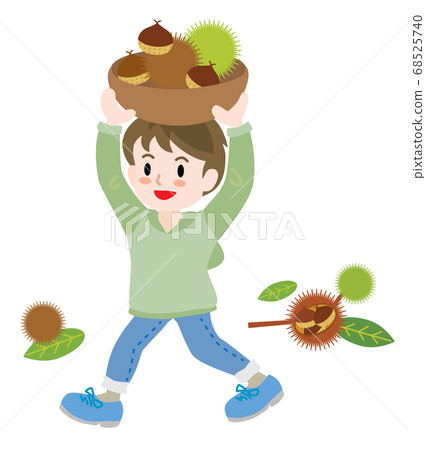 Boy picking up chestnuts - Stock Illustration [68525740] - PIXTA