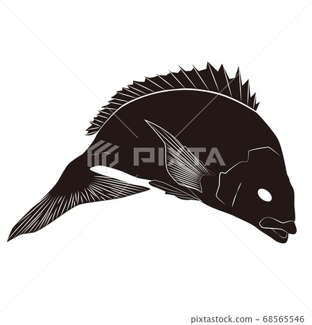 Sea bream illustration jumping - Stock Illustration [68565546] - PIXTA