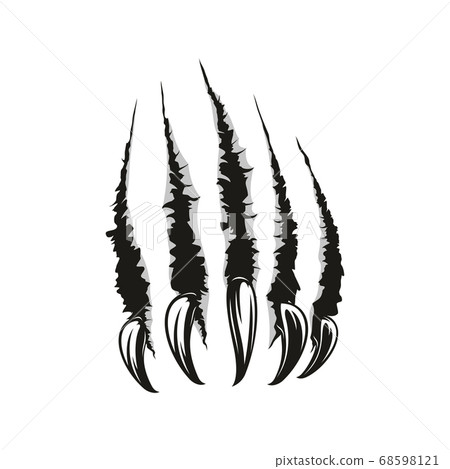 Animal claws scratches trace, torn slashes texture - Stock Illustration ...