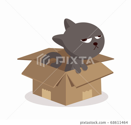 Cartoon cat in a box cardboard box - Stock Illustration [68611464] - PIXTA