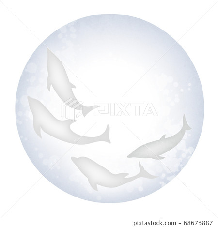 Background material with a dolphin motif - Stock Illustration [68673887 ...