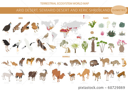 Desert biome, xeric shrubland biome, natural - Stock Illustration ...