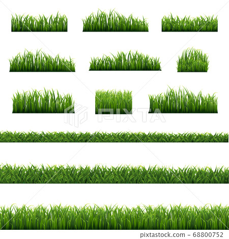Green Grass Frame Isolated White background - Stock Illustration ...