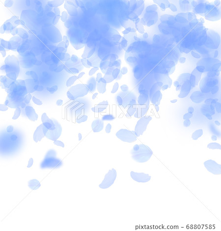 Dark blue flower petals falling down. Awesome roma - Stock Illustration ...