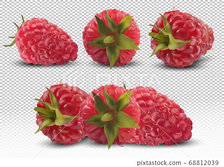 Set of raspberry from different angles on... - Stock Illustration ...