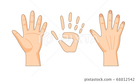 Front and back sides of hand, hand print,... - Stock Illustration ...
