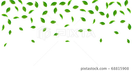 Falling green leaves. Fresh tea random leaves flyi - Stock Illustration ...