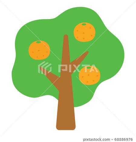 Tangerine tree icon - Stock Illustration [68886976] - PIXTA
