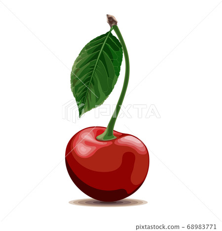 Ripe red Cherry isolated on white background. - Stock Illustration ...