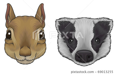 Squirrel and Badger Muzzle with Fur Vector Set - Stock Illustration ...