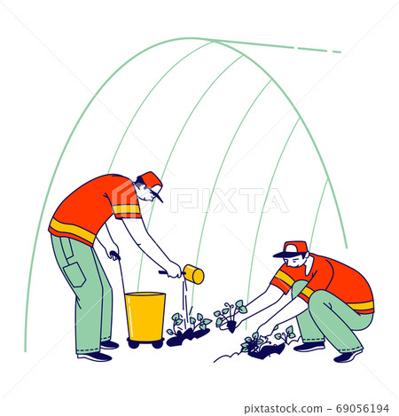 Workers in Uniform Planting Berries in... - Stock Illustration ...