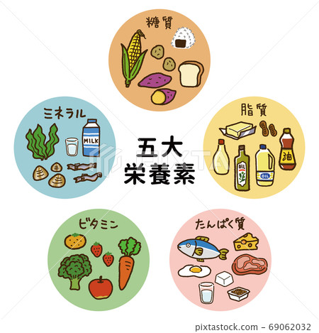 Icon set of five major nutrients - Stock Illustration [69062032] - PIXTA