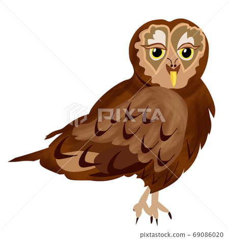 Offended, angry walking owl on a white background - Stock Illustration ...