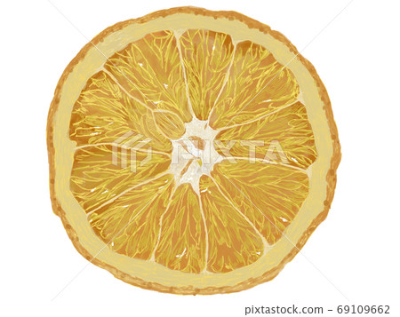 Orange cross section - Stock Illustration [69109662] - PIXTA