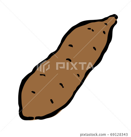 Illustration of Yacon - Stock Illustration [69128343] - PIXTA