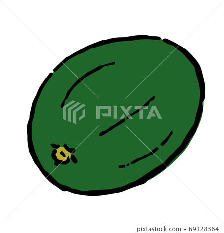 Illustration of Winter melon - Stock Illustration [69128364] - PIXTA