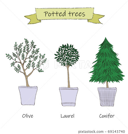Potted tree color - Stock Illustration [69143740] - PIXTA