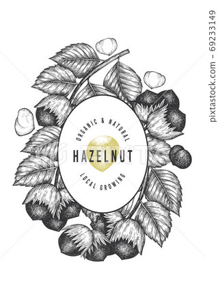 Hand drawn sketch hazelnut design template.... - Stock Illustration ...