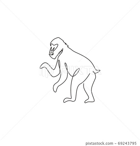 One continuous line drawing of cute mandrill... - Stock Illustration ...
