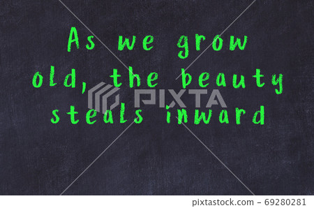 Chalk wise inscription on black chalkboard - Stock Illustration ...